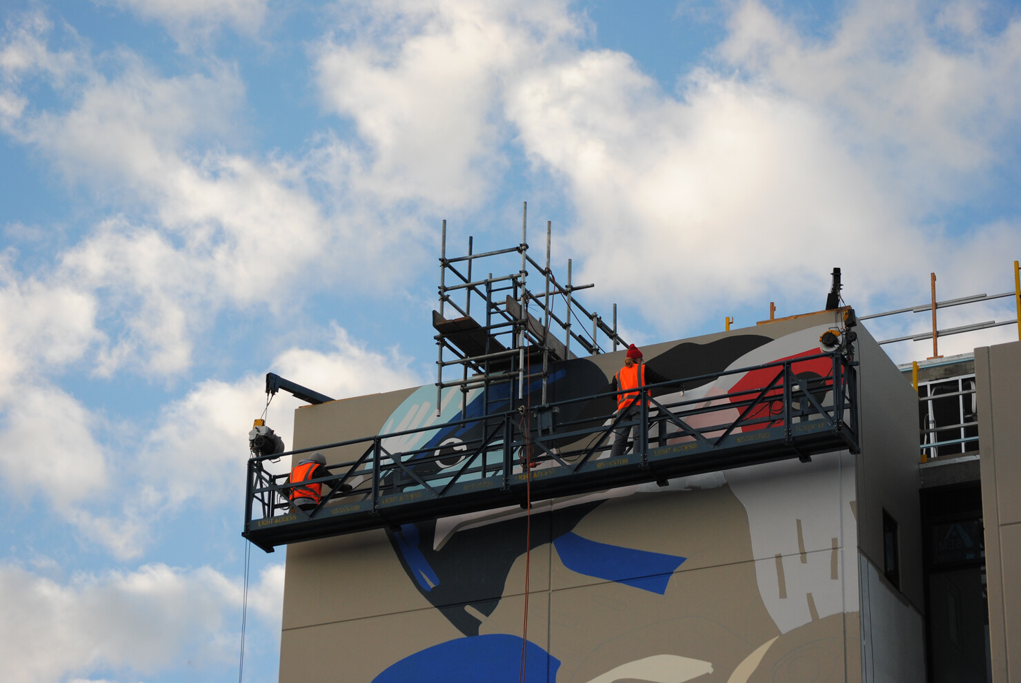 Native Birds of Melbourne, 2020