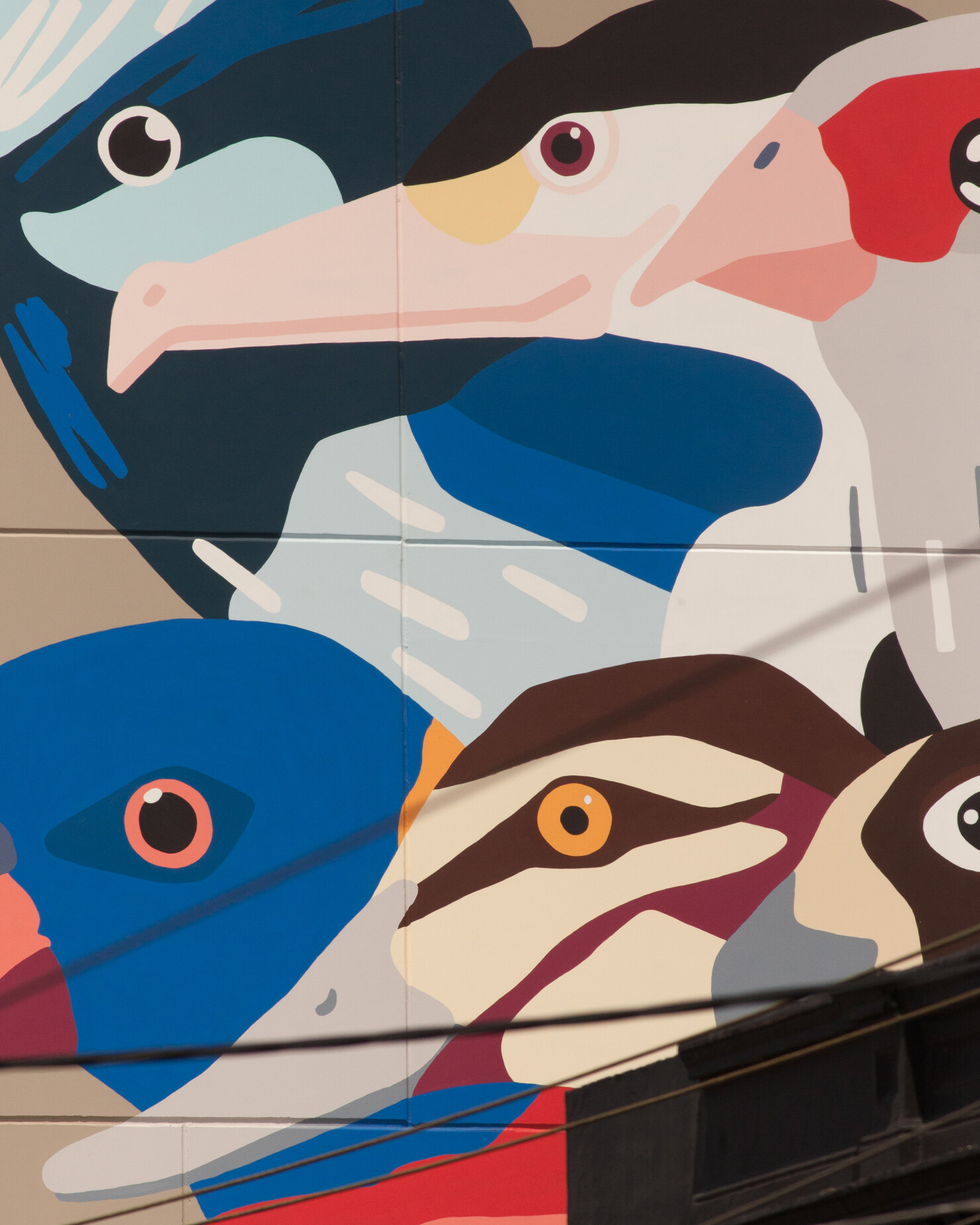 Native Birds of Melbourne, 2020