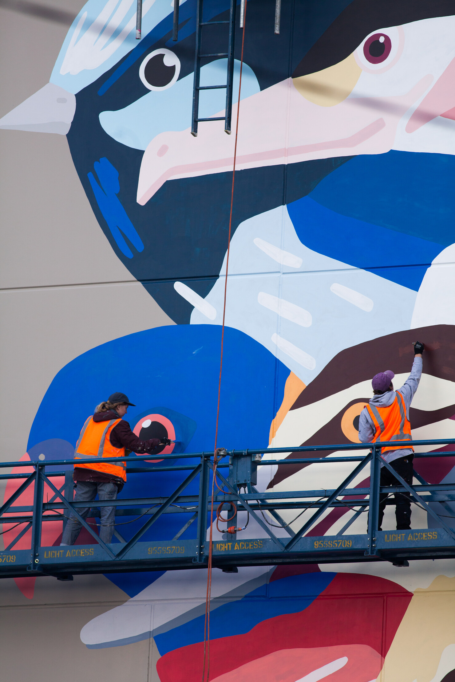 Native Birds of Melbourne, 2020