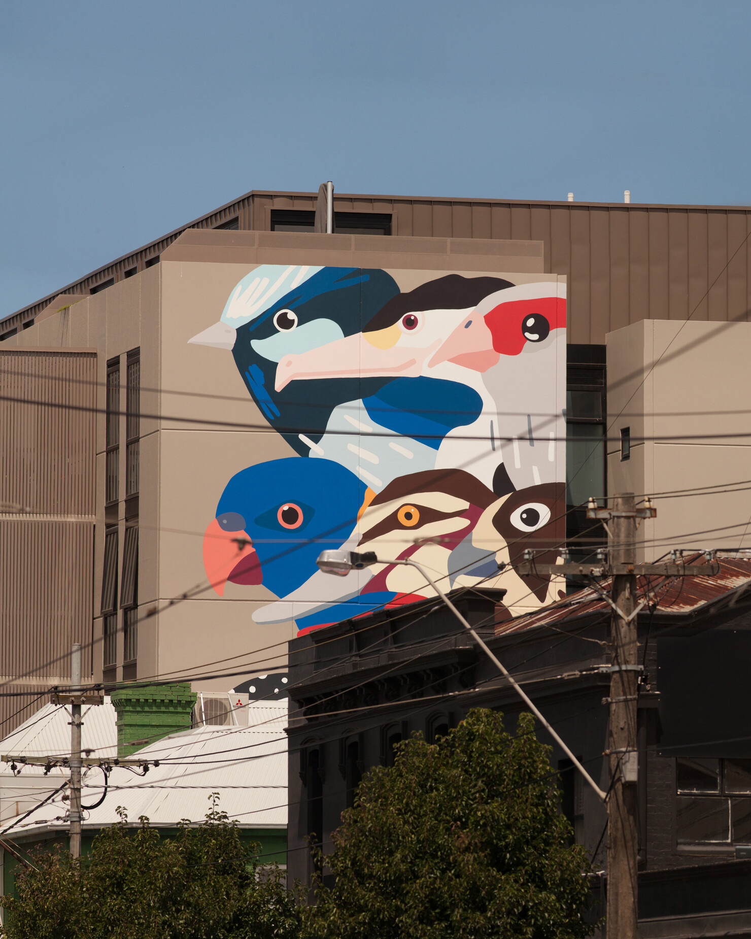 Native Birds of Melbourne, 2020