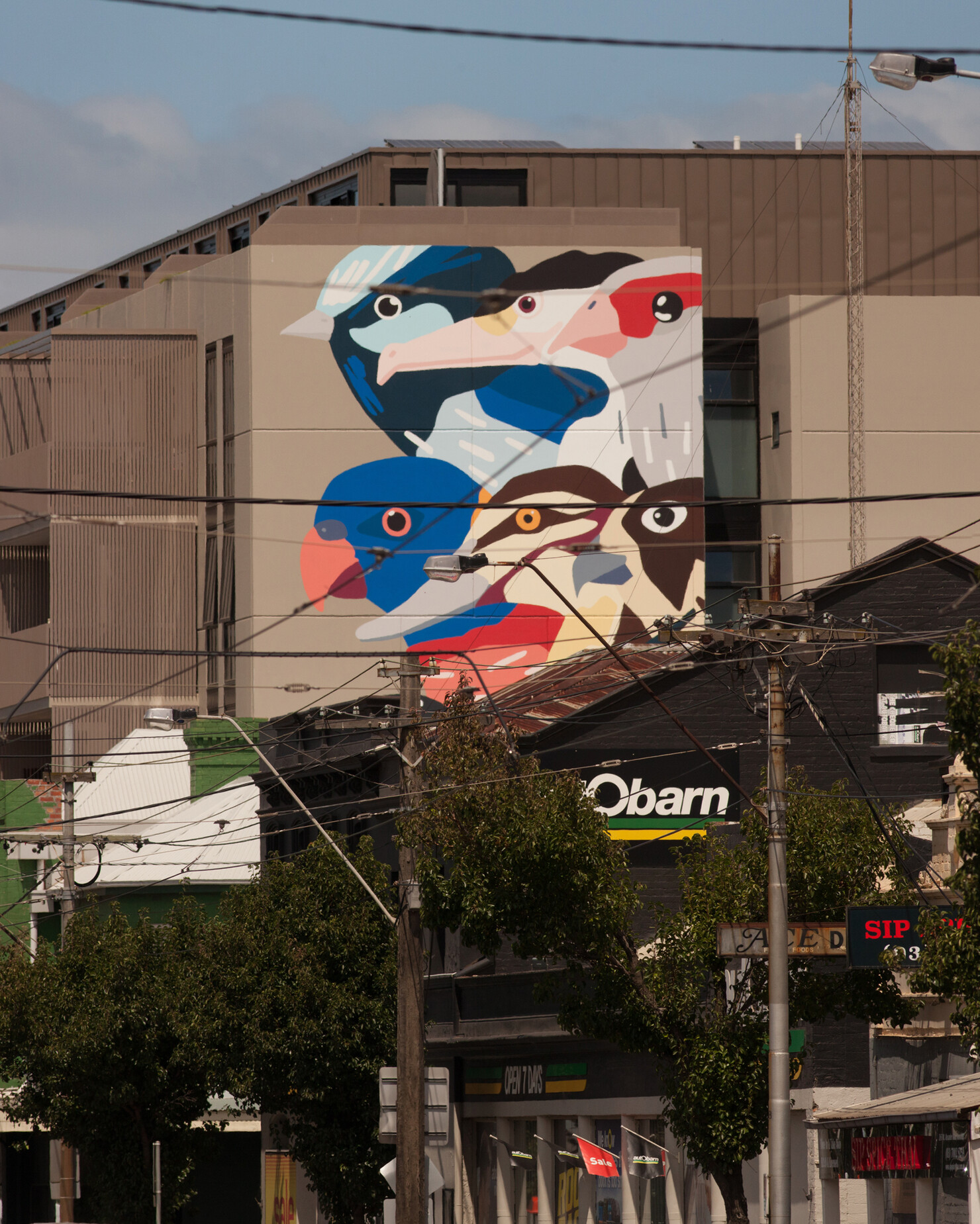 Native Birds of Melbourne, 2020