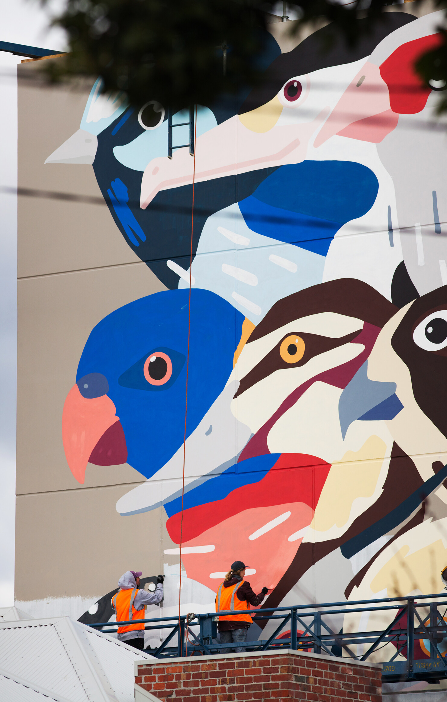 Native Birds of Melbourne, 2020